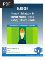 18 Elementos del SASISOPA Industrial | PDF | Seguridad | Informática y ...