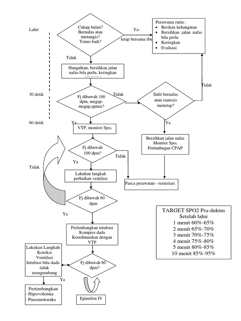 Diagram Alur Resusitasi Neonatus | PDF