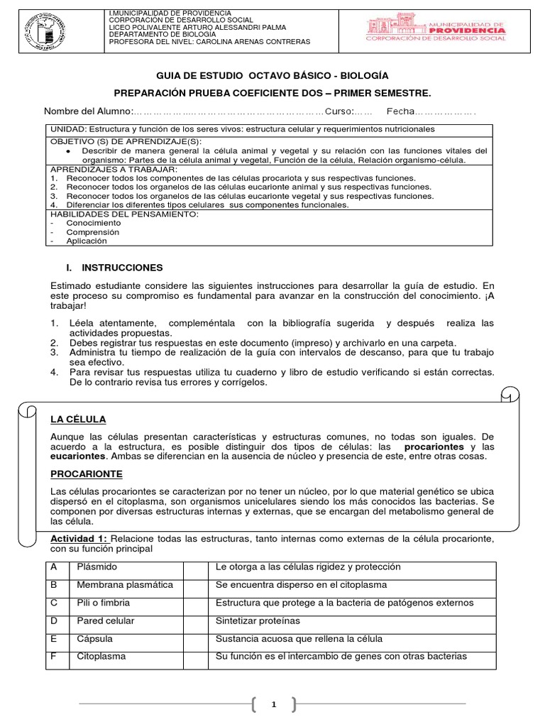 Biologia Coe2 8°basico PDF | PDF | Citoplasma | Biología Celular)