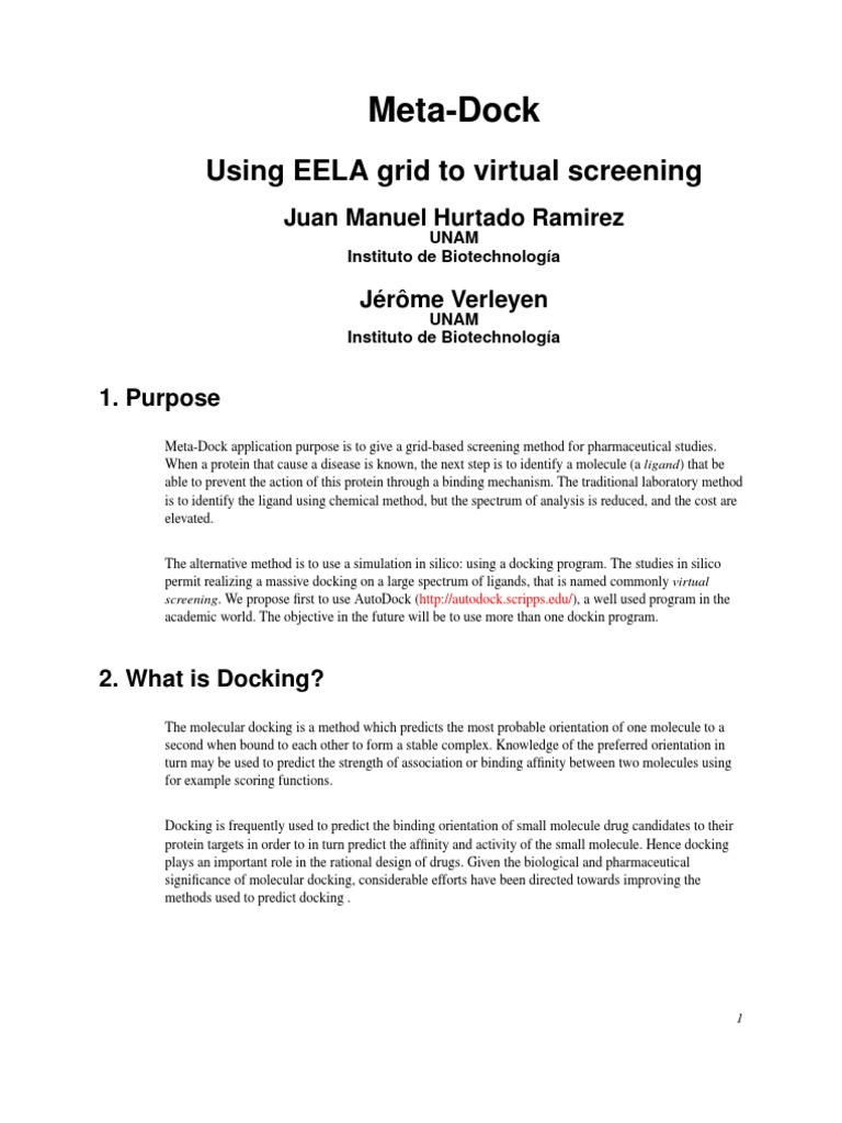 Meta Doc Tecnical | PDF | Docking (Molecular) | Ligand (Biochemistry)