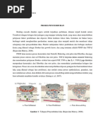 Pembentukan Jaringan Parut Kulit Patofisiologi, Mekanisme Molekuler ...