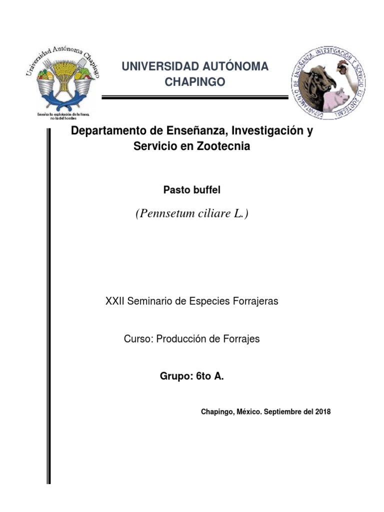 Pasto Buffel. Pennisetum Ciliare (L.) | PDF | Siembra | Aluminio