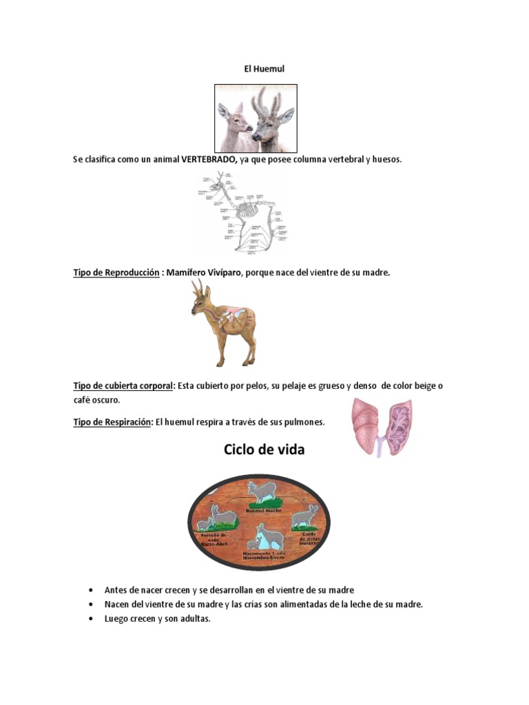 Resumen El Huemul | PDF
