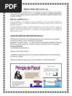 Álbum Fotográfico de Principio de Pascal y Arquímedes | PDF