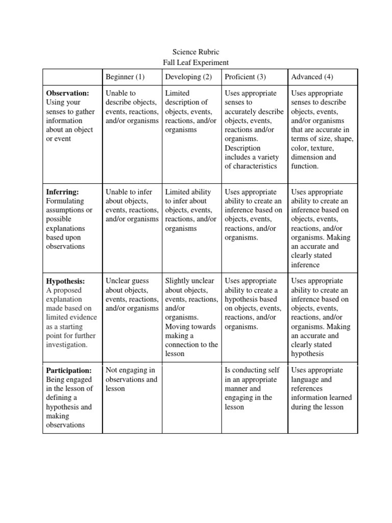 Science Rubric For Lesson Plan | PDF | Hypothesis | Experiment