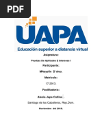 Prueba Pip | PDF | Cognición | Sicología