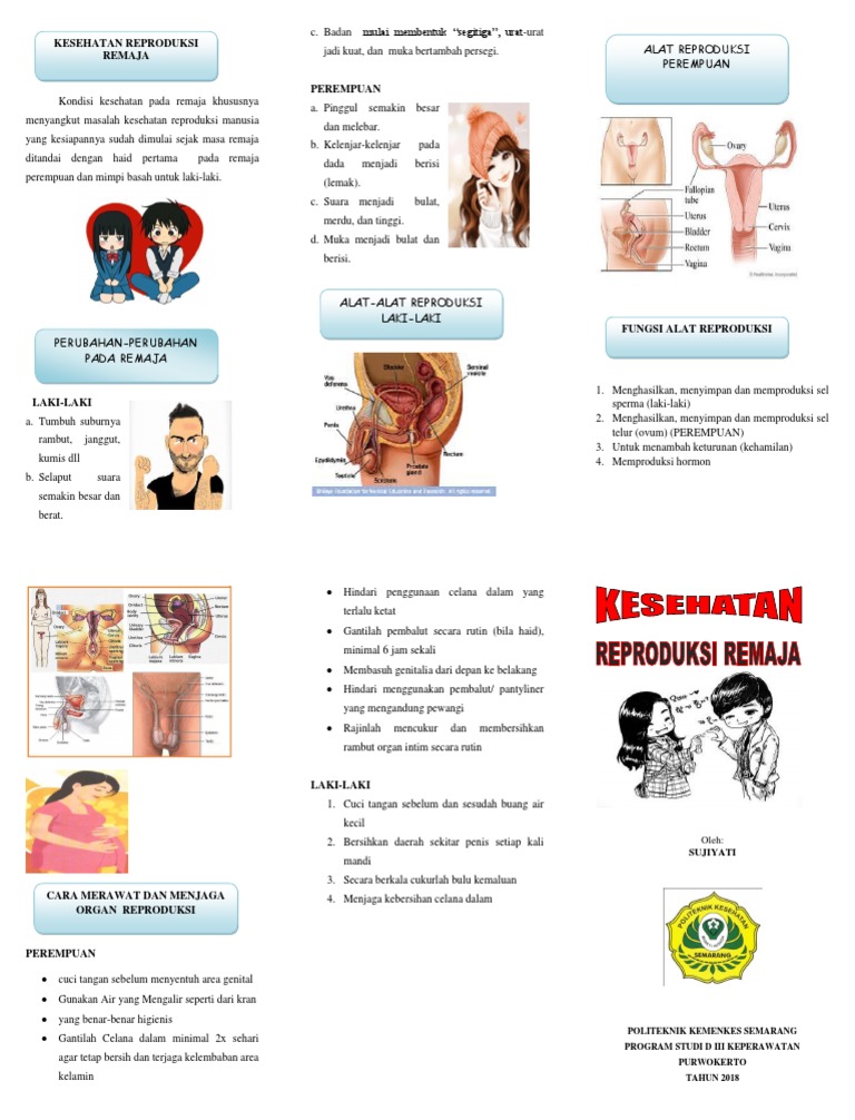 LEAFLET Kesehatan Reproduksi Remaja | PDF