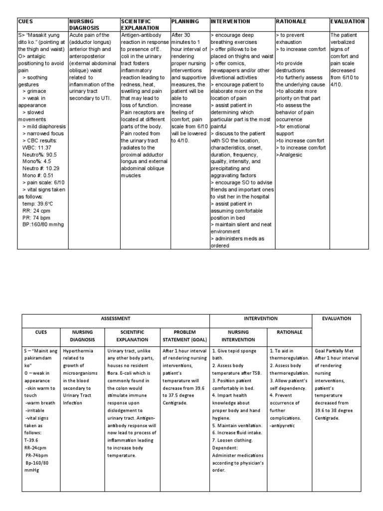 Nursing Care Plan for a Patient with Urinary Tract Infection with Elevated Temperature, Pain ...