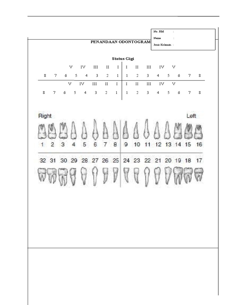 Penandaan Odontogram: Status Gigi | PDF