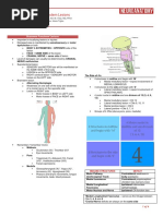Cranial Nerve Assessment | PDF | Nervous System | Human Head And Neck
