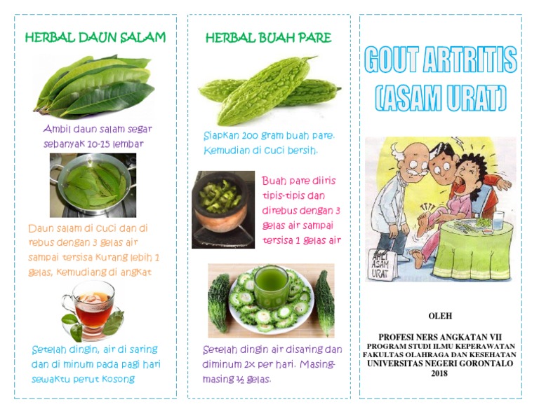 Leaflet Gout 1 | PDF