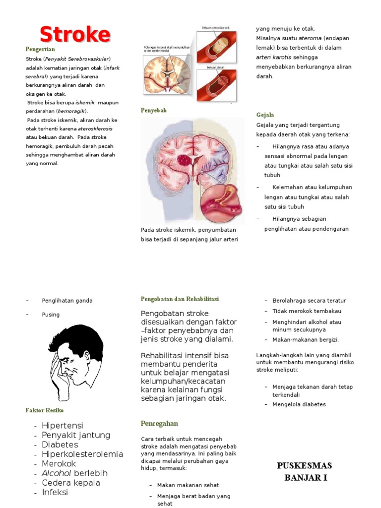 Leaflet Stroke | PDF