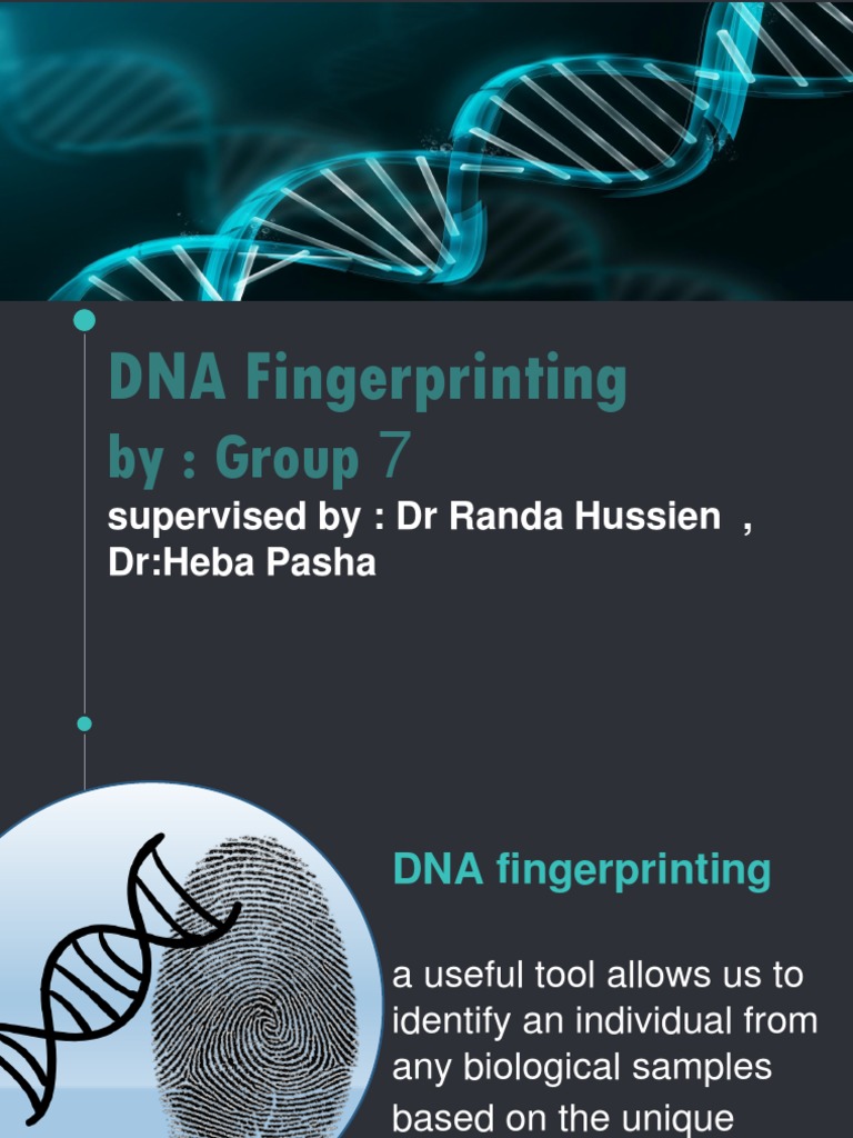 Overview of DNA Fingerprinting Techniques | PDF | Dna Profiling ...