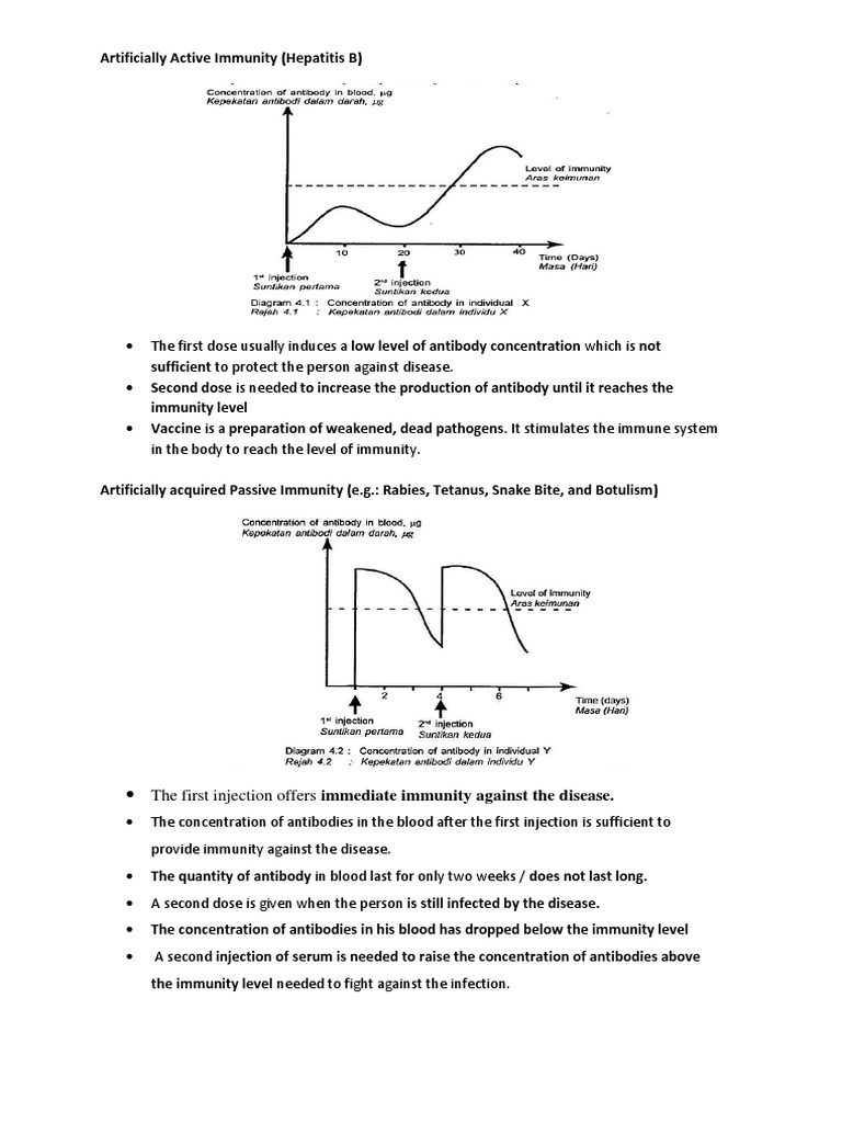Form 5 Biology Immunity | PDF
