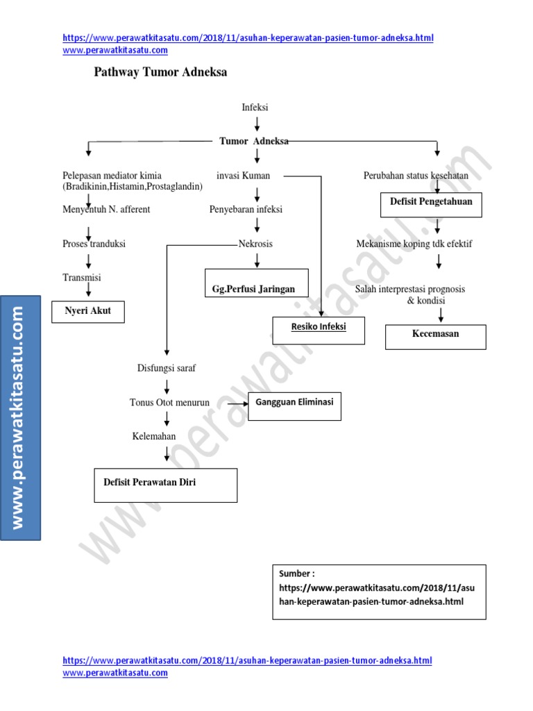 Pathway Tumor Adneksa | PDF
