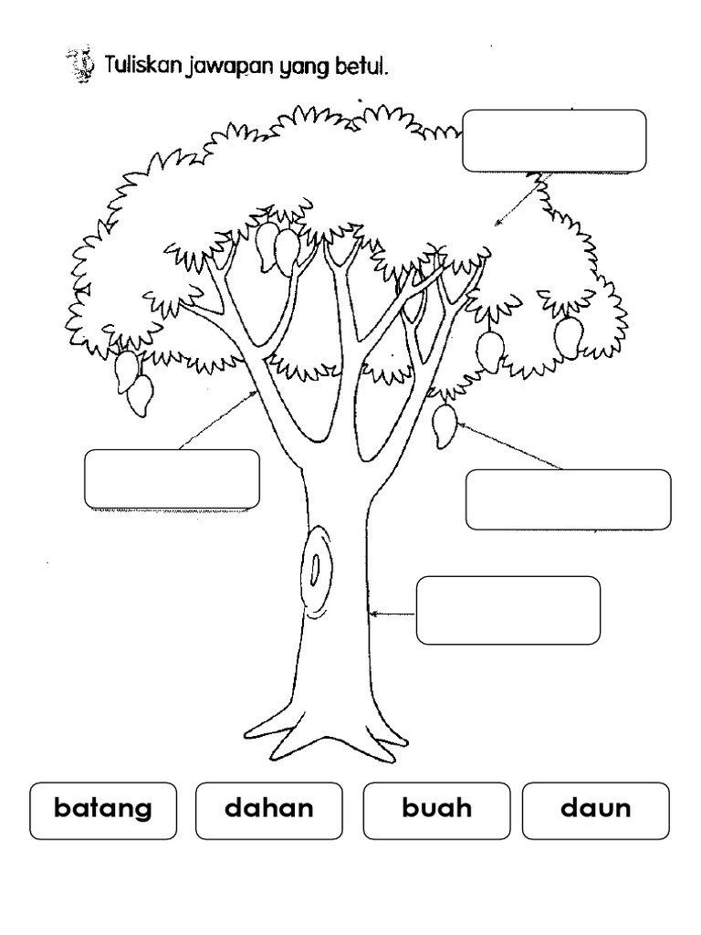 Bahagian Pokok | PDF