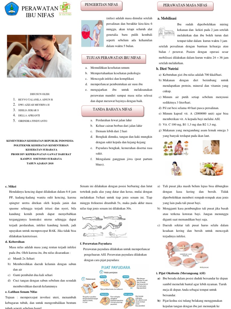 Leaflet Nifas | PDF
