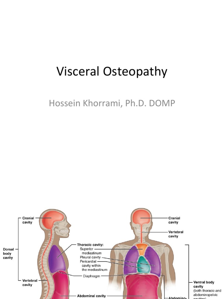 Visceral Osteopathy | Thorax | Esophagus