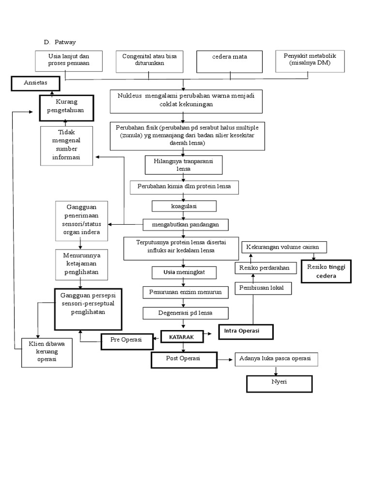Pathway Katarak | PDF