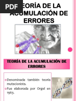 Tipos de Envejecimiento | PDF | Envejecimiento | Sistema inmune