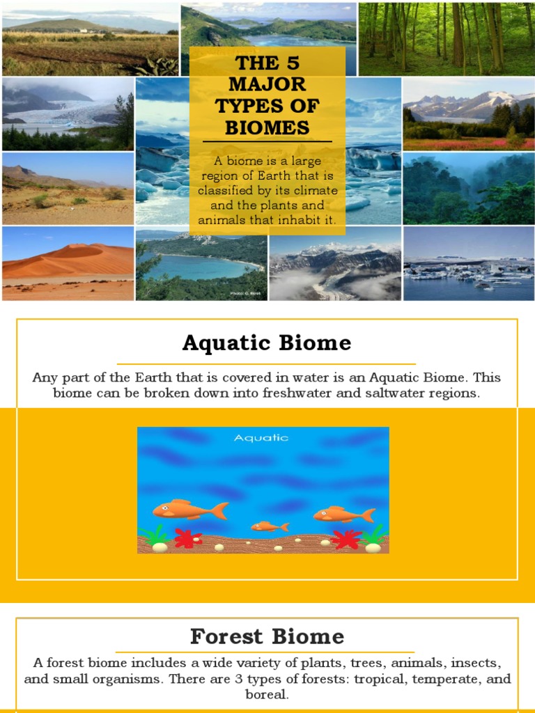 Presentation Assignment - Biomes | PDF