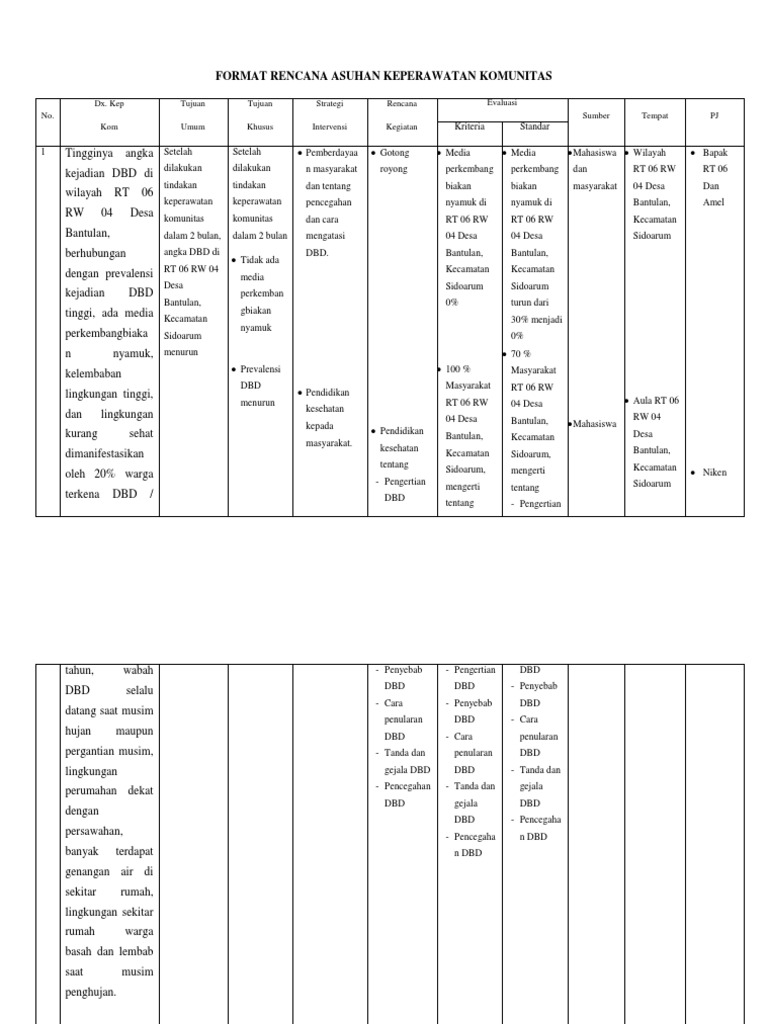 Format Rencana Asuhan Keperawatan Komunitas (Poa) | PDF