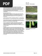 Vitex Payos | PDF | Trees | Leaf