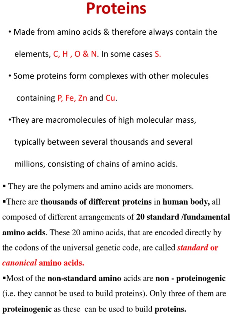 The Building Blocks and Structures of Proteins | PDF | Amino Acid ...