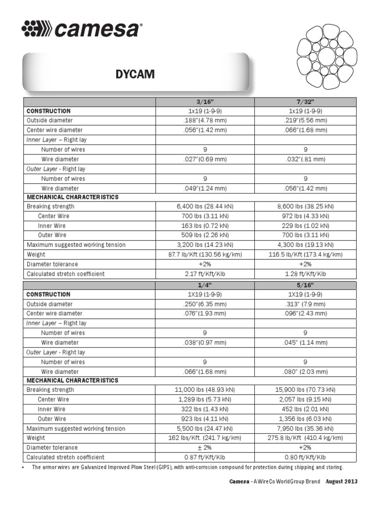 Dycam: Inner Layer - Right Lay | PDF | Nature