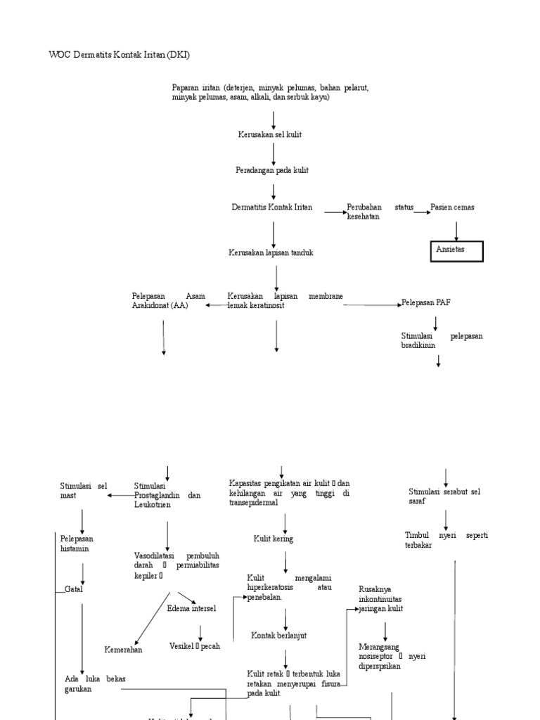 BAB II WOC Dermatits Kontak Iritan Baru | PDF