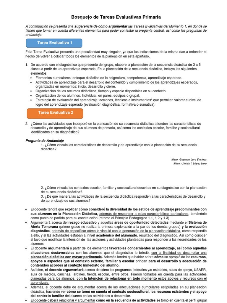Bosquejo Tareas Evaluativas Gus Ulrich | PDF | Planificación | Educación primaria