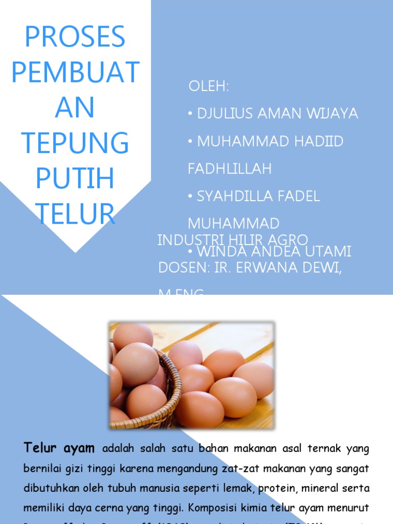 Proses Pembuatan Tepung Putih Telur | PDF