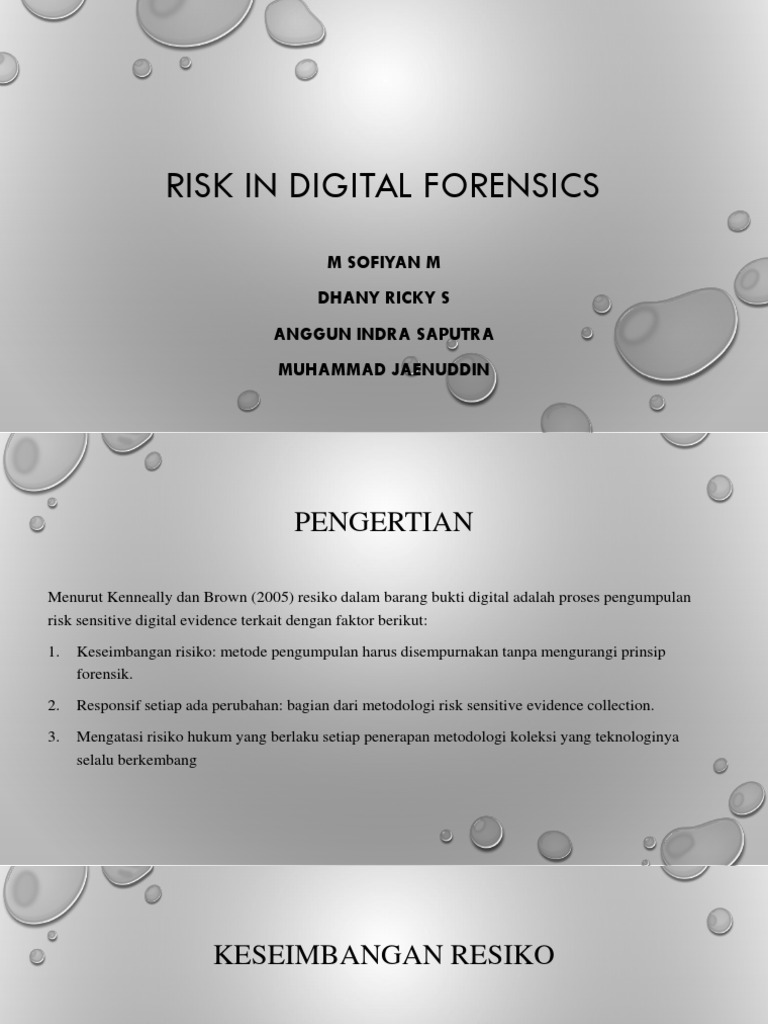 RISK in Digital Forensics | PDF