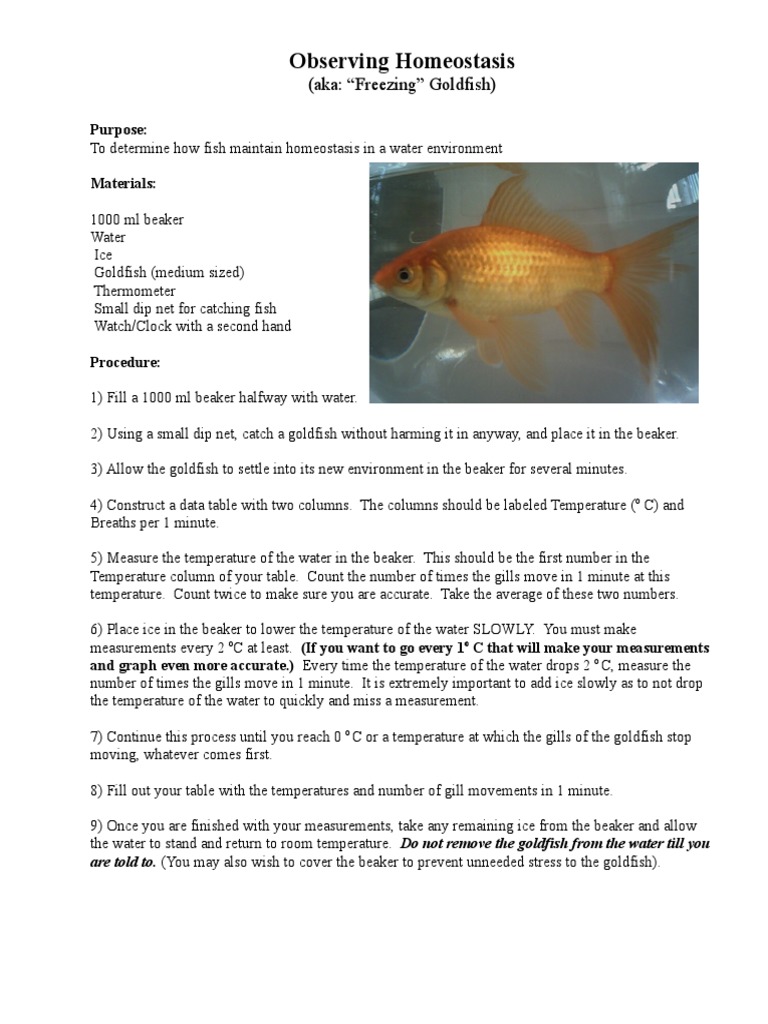 Goldfish Homeostasis Lab | PDF | Temperature | Data