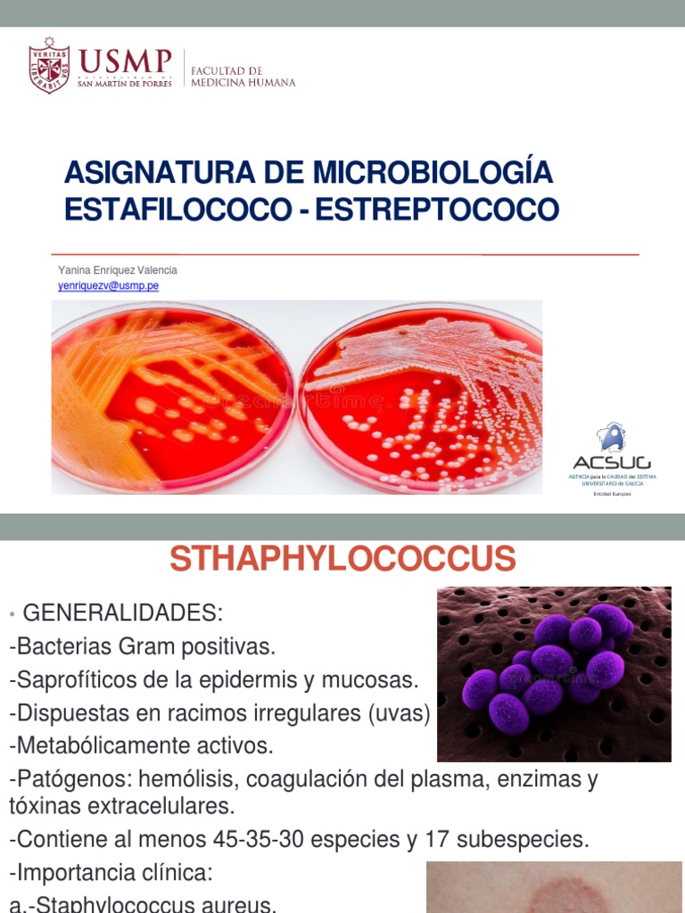 Asignatura De Microbiología Estafilococo - Estreptococo: Yanina ...