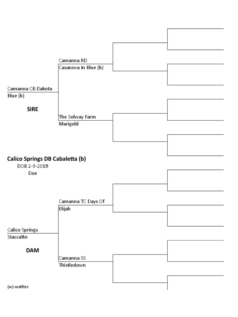 Calico Springs DB Cabaletta | PDF