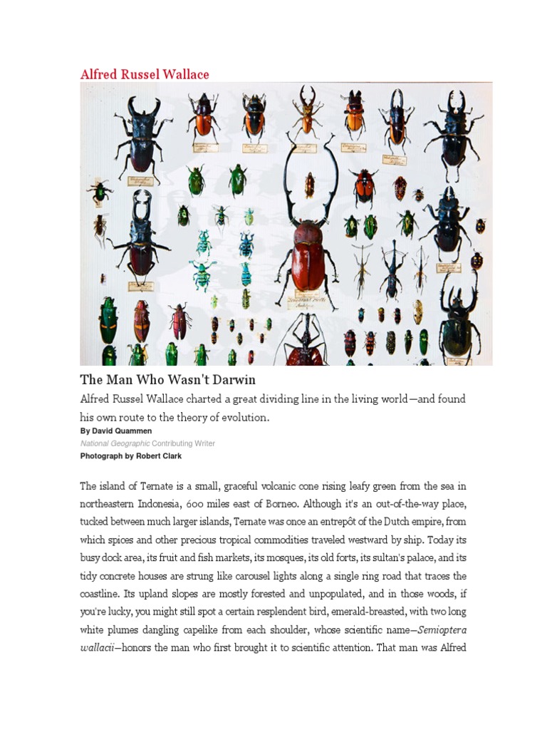 Alfred Russel Wallace | PDF | Alfred Russel Wallace | Charles Darwin