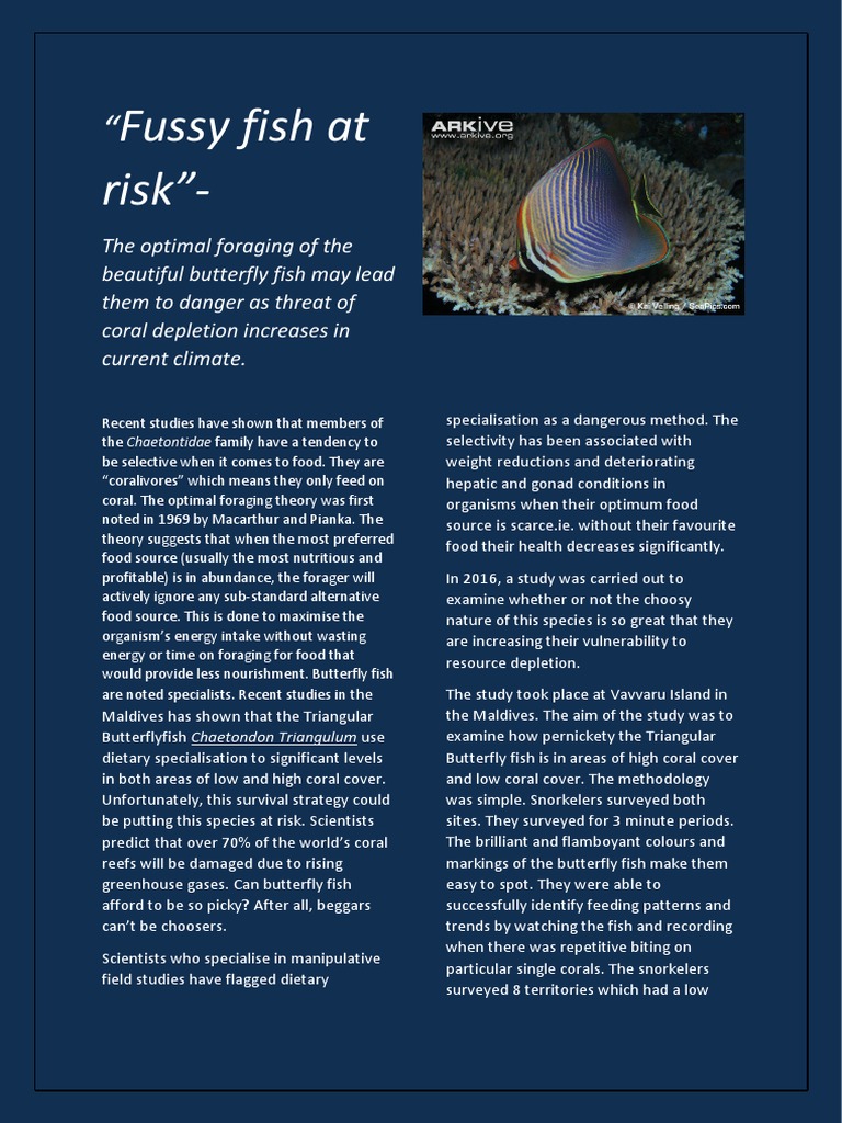 Fussy Fish at Risk-Magazine Article by Maria Browne | PDF | Foraging ...