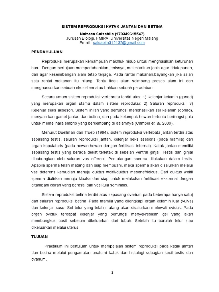 Laprak 2 Sistem Reproduksi Katak | PDF