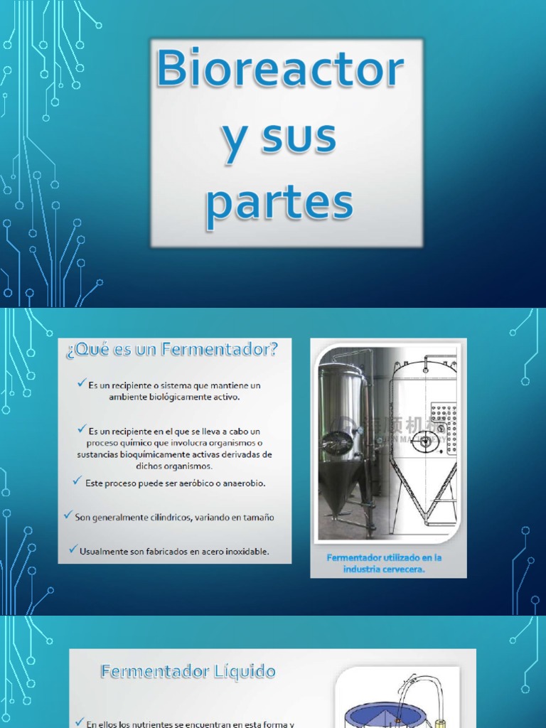 Bioreactor Batch y Sus Partes PDF | PDF