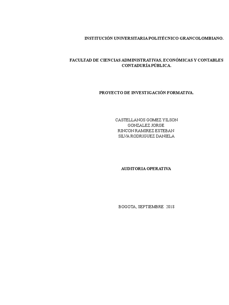 Pif Auditoria Operativa | PDF | Contabilidad | Business