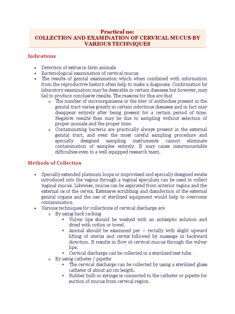 Collection of Cervical Mucus | PDF | Mucus | Vagina