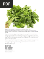 Bayam Duri (Amaranthus Spinosus L.) | PDF