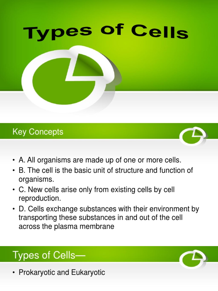 Cell Types & Cell Modification | Eukaryotes | Biology