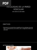 Vesícula en Porcelana y Signo de WES | PDF | Ciencia y matemáticas