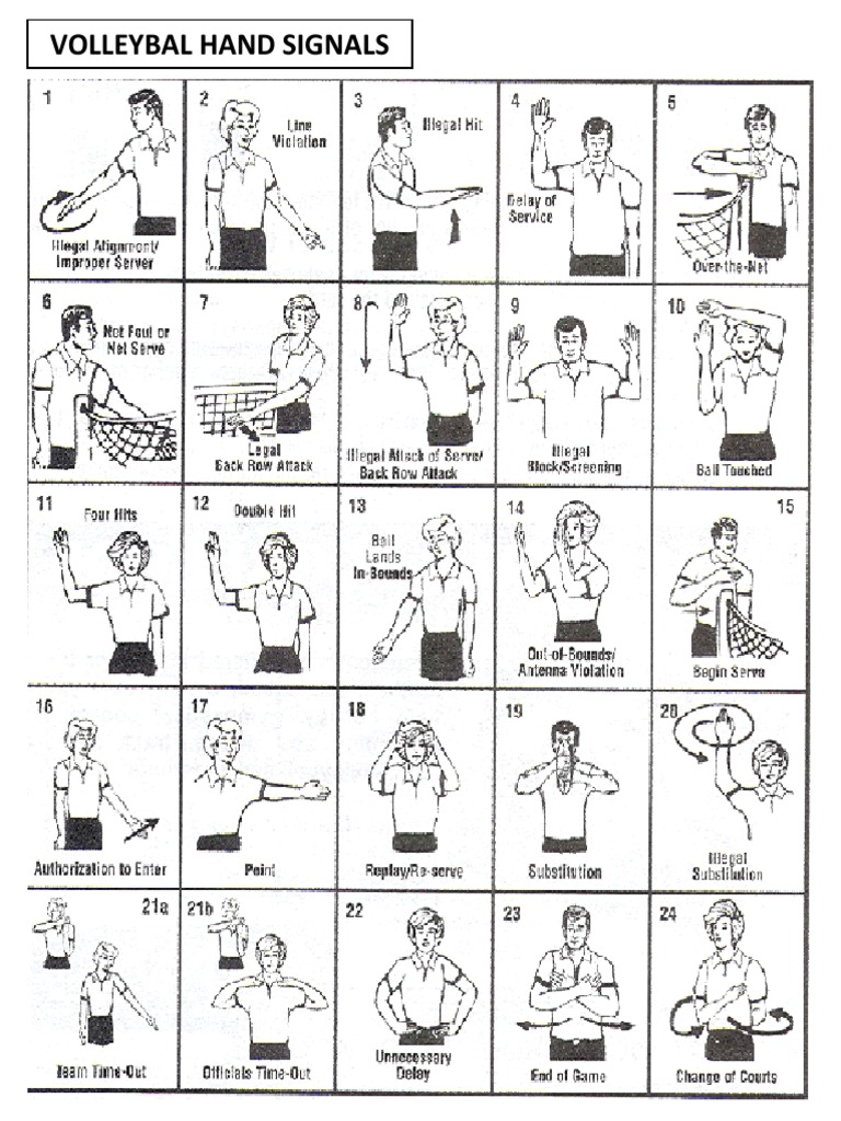 Hand Signals | PDF