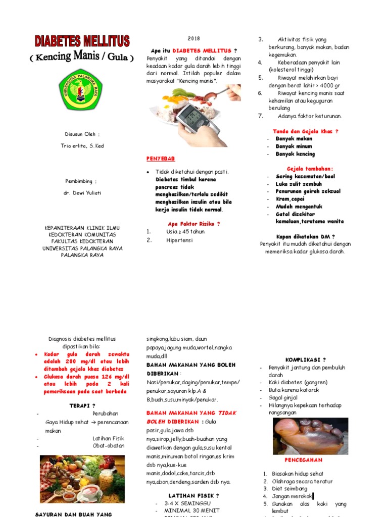 Leaflet Diabetes Mellitus FIX | PDF