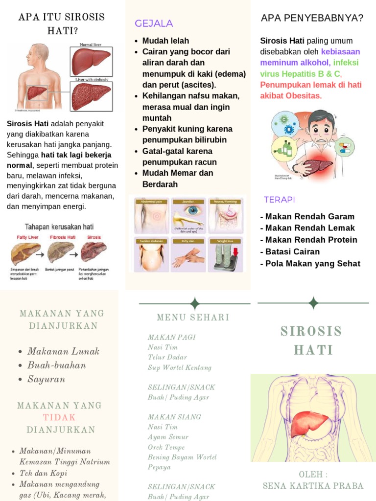 Leaflet Sirosis Hepatis | PDF