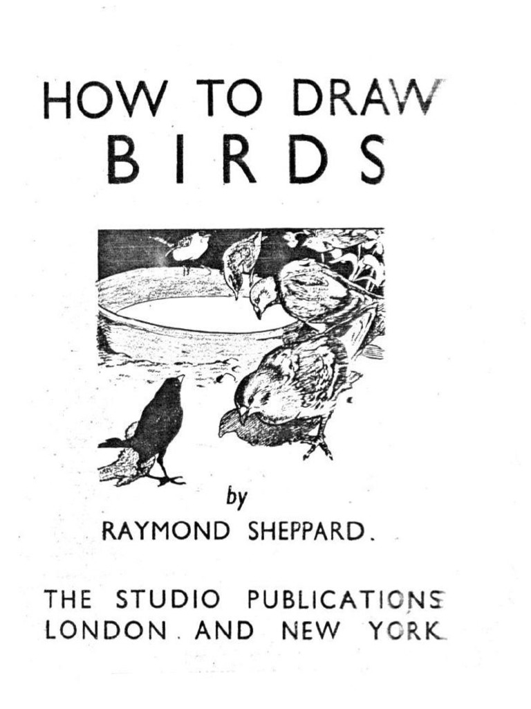 How To Draw Birds | PDF