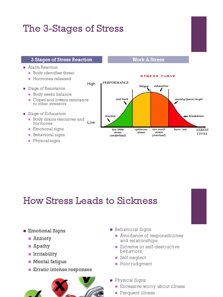 3 Stages of Stress Reaction Work & Stress | PDF